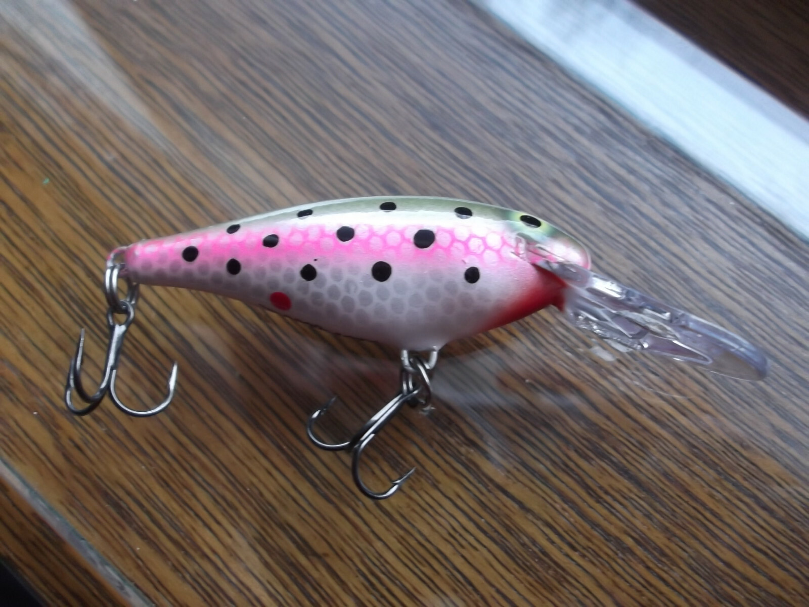 Custom Painted Rapala Shad Rap,SR-5, Holdover Trout | eBay