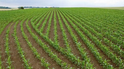 GPS & Guidance Equipment - John Deere Original Greenstar Display