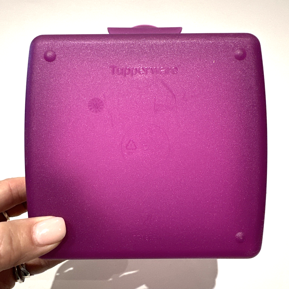 Tupperware Sandwich Keeper Original Style OG Clasp Berry Purple ...