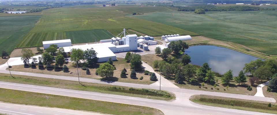 Hybrid Pearl Millet Food Plot Seed (5 lb) Free Shipping | eBay