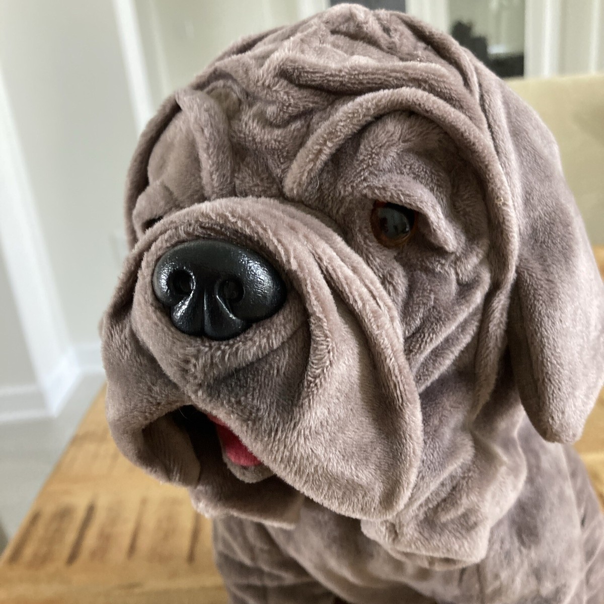 Fang Harry Potter Dog