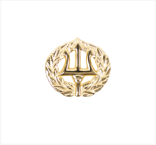 GENUINE U.S. NAVY BADGE: COMMAND ASHORE - MINIATURE, MIRROR FINISH | eBay