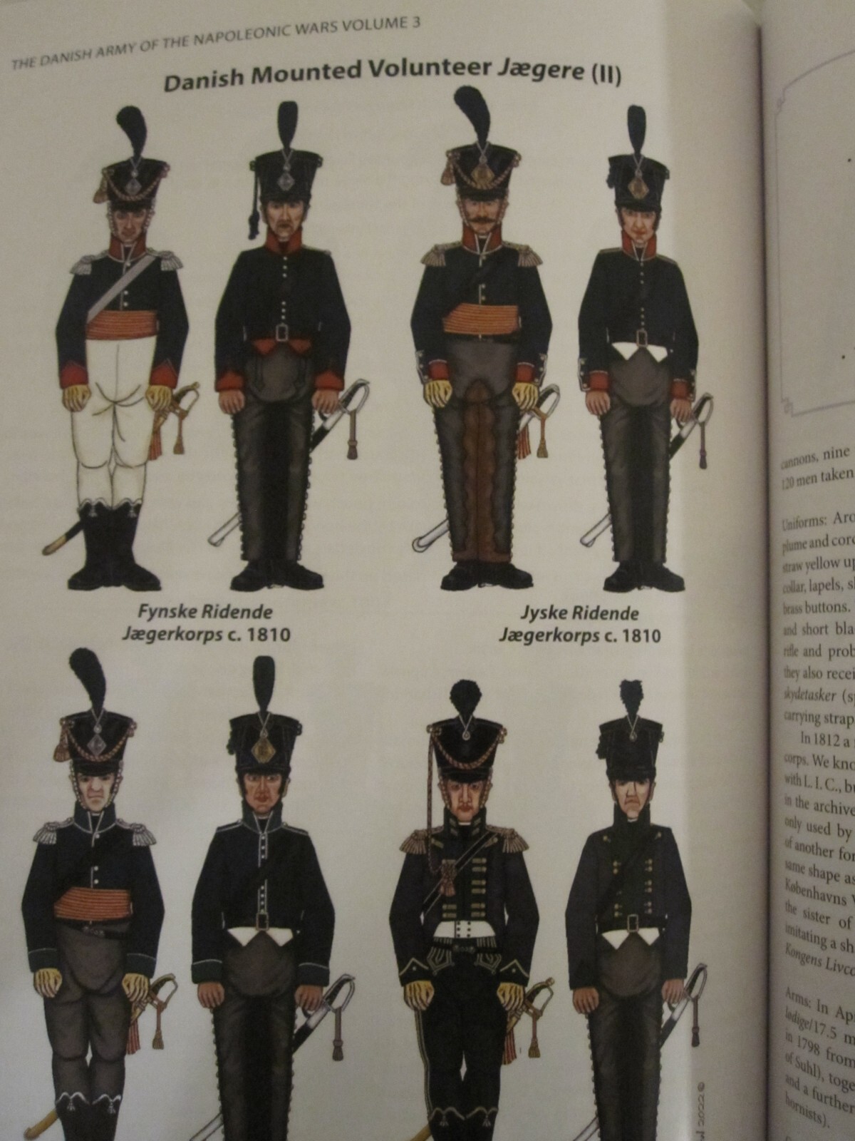 The Danish Army of the Napoleonic Wars 1801-1815. Organisation ...
