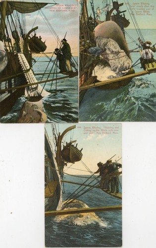 lot of five circa 1910 New Bedford MA whaling postcards, sperm/right ...