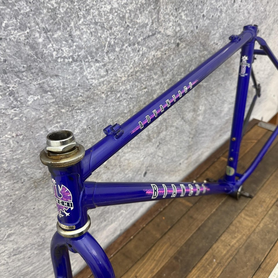 Vintage Bianchi Advantage 700c Frame 46cm Gravel Lugged Tange Cro-Mo ...