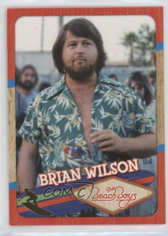 Brian Wilson Beard Beach Boys