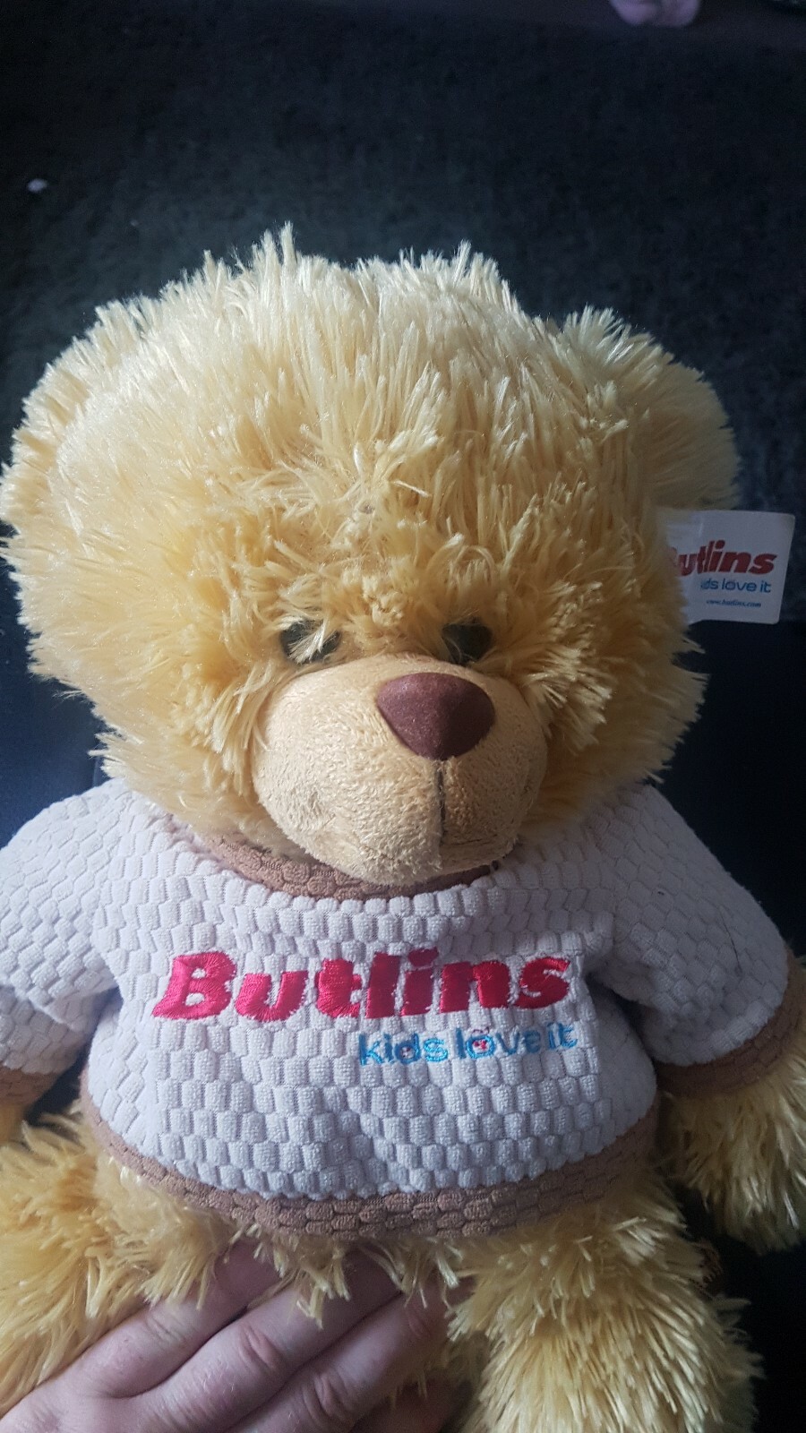 Butlins Bear Soft Toy Plush With Jumper And Tag 16" Vgc | eBay UK
