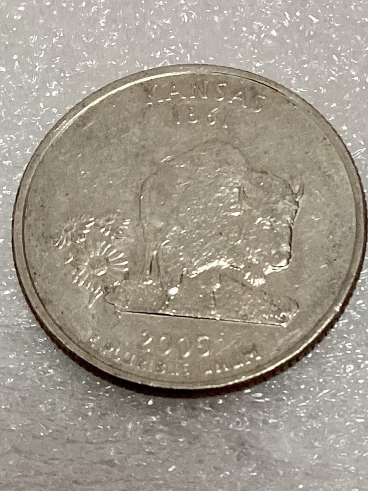 2005 Kansas Buffalo Quarter -detached Leg, Nice Coin | eBay