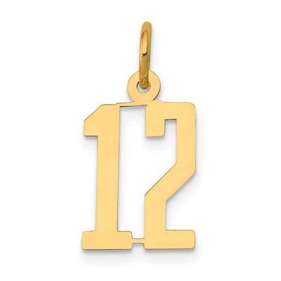 14K Gold Small Elongated Number 12 Charm | eBay