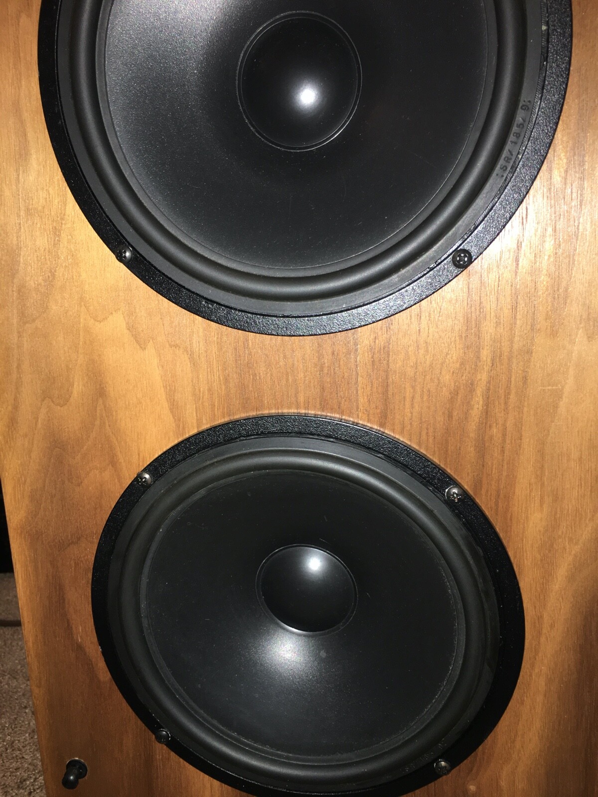 Vintage JSE Infinite Slope Speakers Immaculate Condition RARE Hand Made ...