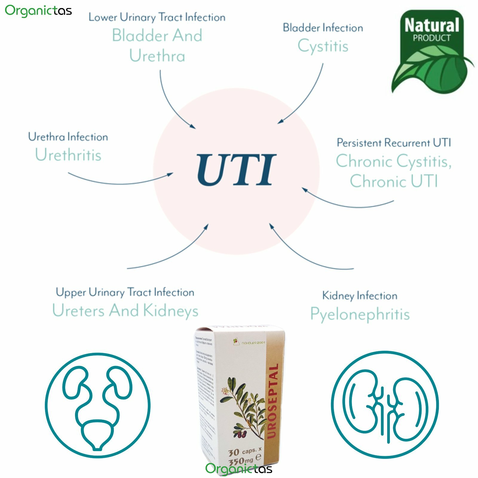 UROSEPTAL® in Urinary Tract Infections UTI Natural Support Help for ...