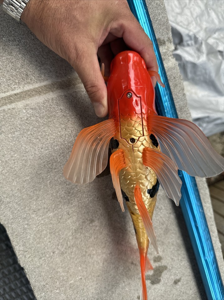 Swim Ways Rainbow Reef Koi Fish Realistic Movement Battery Powered ...