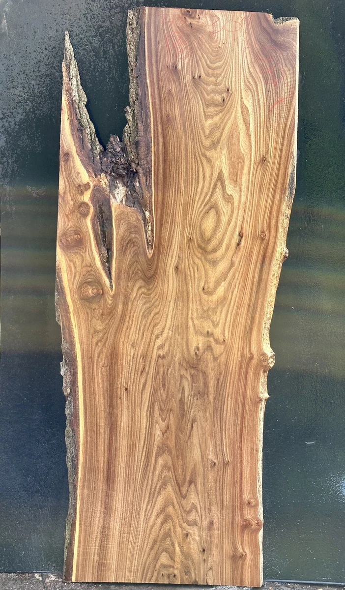 Elm Wood For Woodworking