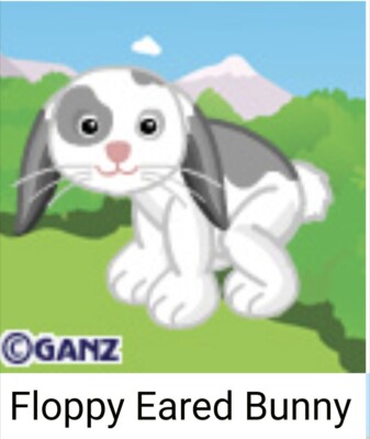 Webkinz Floppy Eared Bunny *Code Only* | eBay