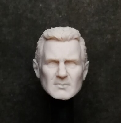 035 LIAM NEESON - Custom resin headcast | eBay