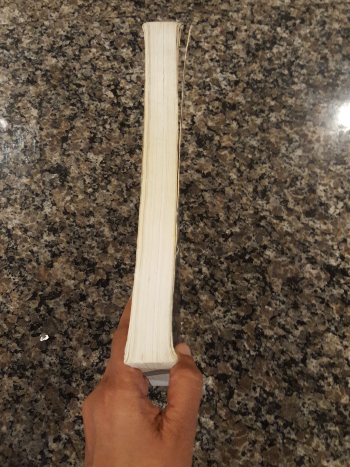 Atlas of Human Anatomy by Dr Frank Netter, MD 1994 softcover ...