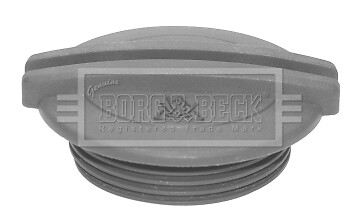 CAPSautomotive Cap radiator for Borg_&_Beck BRC112 PSAT1311007 40722 11 ...