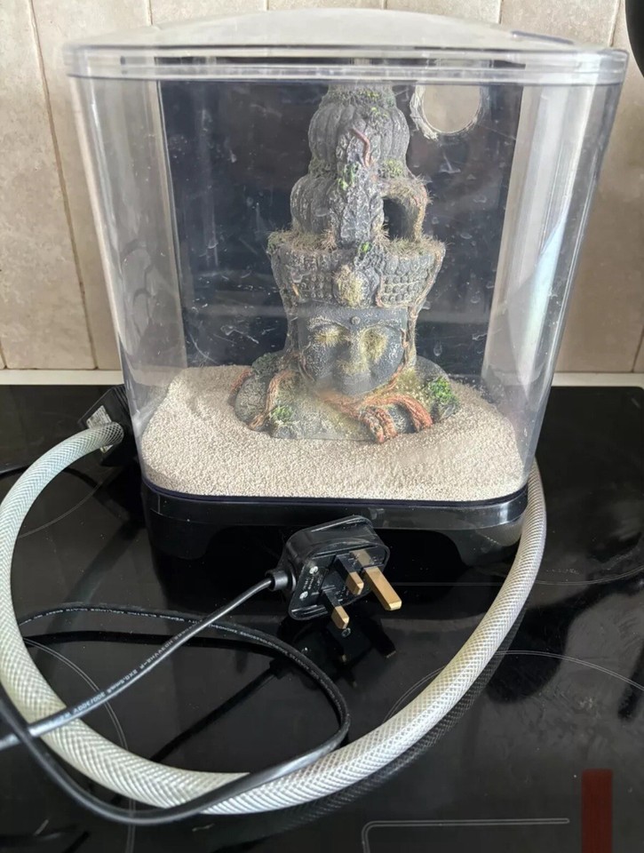 Aqua Oak Large Cube Aquarium & Cabinet Tank Unit, Fluvial FX-4 Filter ...