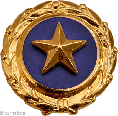 GOLD STAR FAMILY MEMBERS KILLED MILITARY LAPEL PIN | eBay