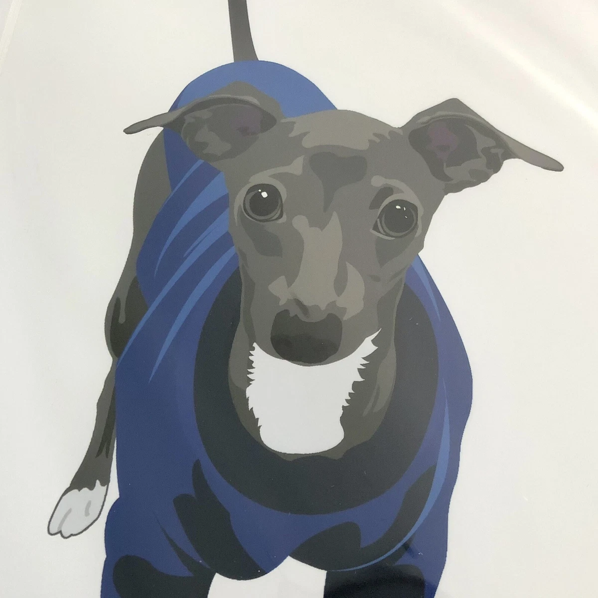 Italian Greyhound Kermit