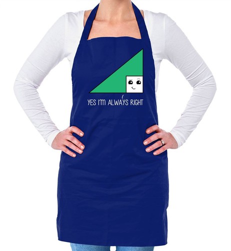 Yes I'm Always Right - Unisex Adult Apron - Math Maths Pun Joke Funny ...