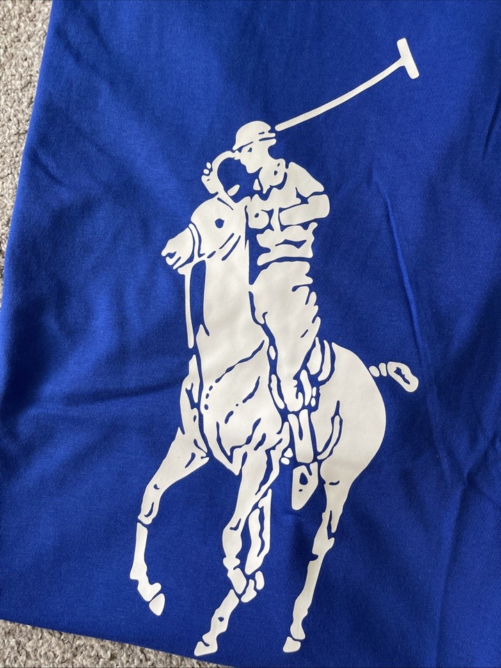 Polo Ralph Lauren Men’s Blue Classic Fit Graphic Tee (L) | eBay