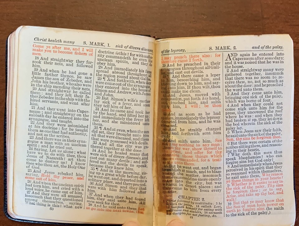Red Letter Testament, Translated out of the Original Greek. Pocket Size ...