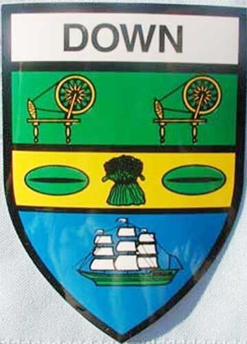 County Down Crest Sticker Decal, prompt delivery | eBay