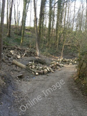 Photo 6x4 Golden Valley Park Ripley/SK4050 Former colliery spoil heap ...