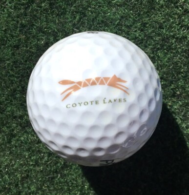 Coyote Lakes Golf Club (Surprise, Arizona) Logo Golf Ball | eBay