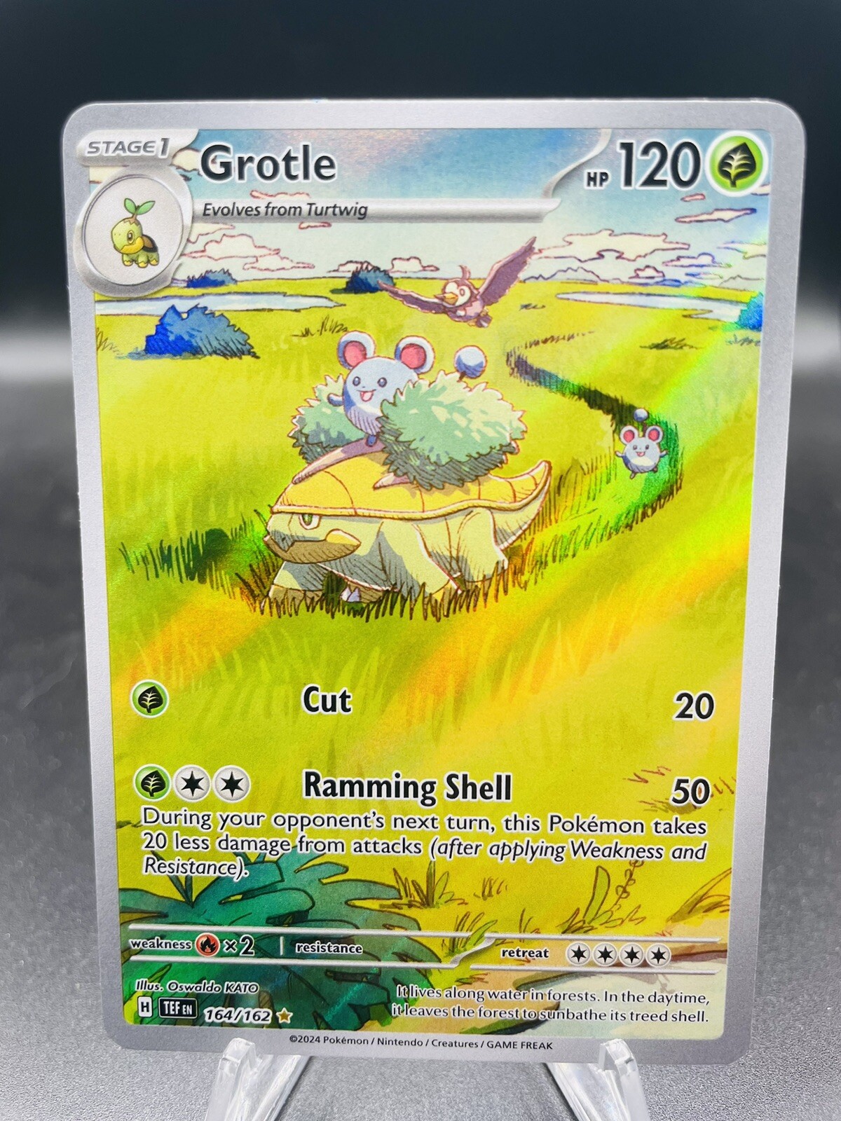 Pokemon Grotle 164/162 Temporal Forces Illustration Rare Full Art Holo ...