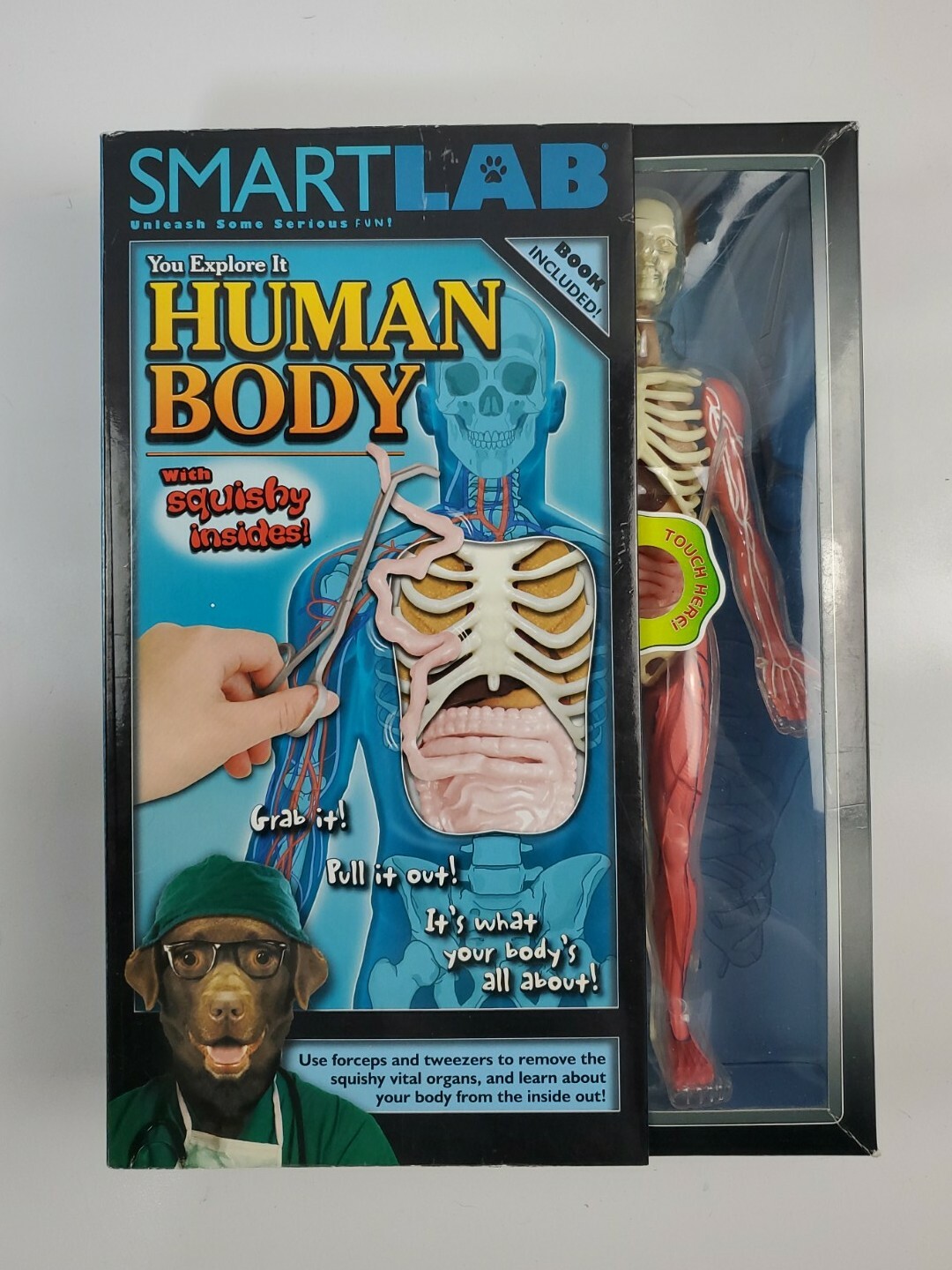 SmartLab Toys 6428 Squishy Human Body Halloween | eBay