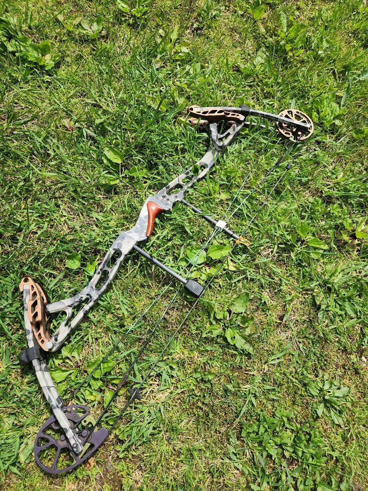 ALPINE SILVERADO COMPOUND BOW | eBay