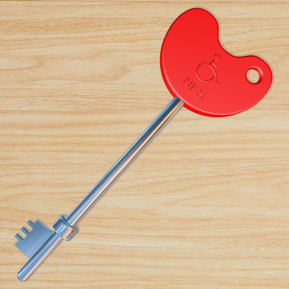 NKS RADAR KEY Disabled Toilet Key Access Braille Easy Turn | eBay UK