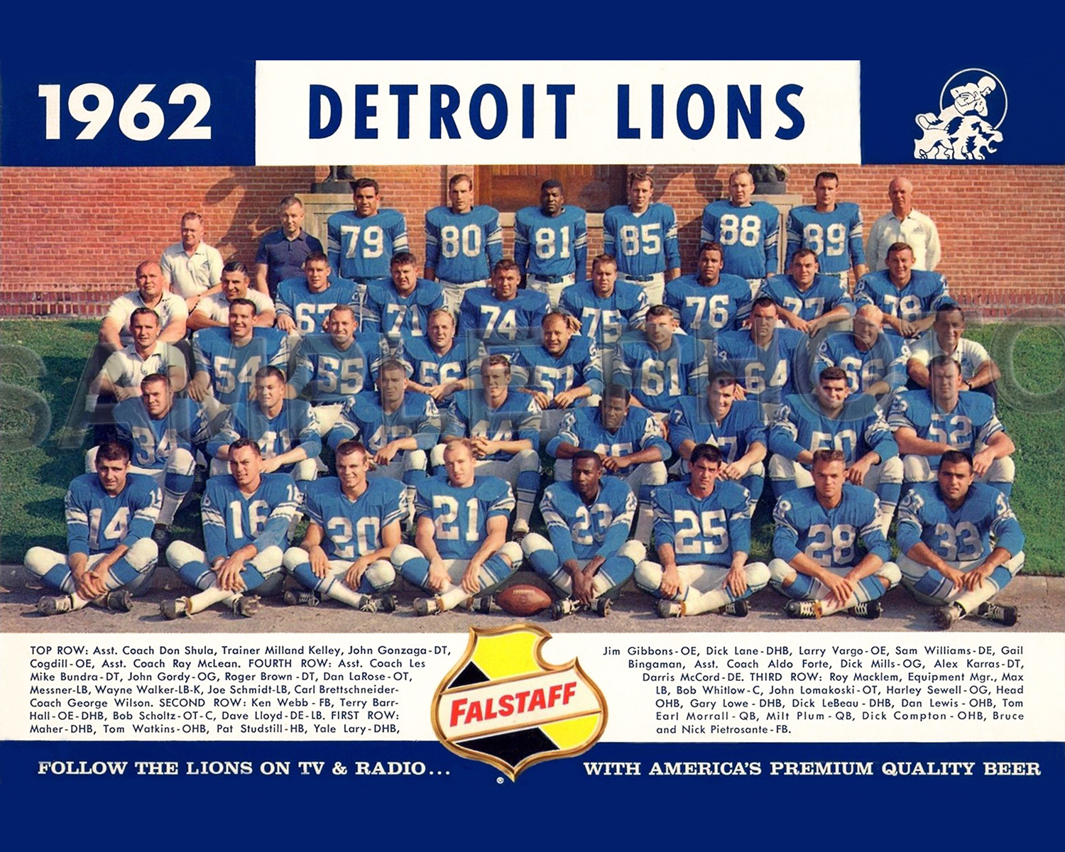 1962 DETROIT LIONS NFL FOOTBALL 8X10 TEAM PHOTO | eBay