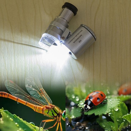 60X Magnifying Loupe Jewelry Jewelers Pocket Magnifier Loop Eye Glass ...