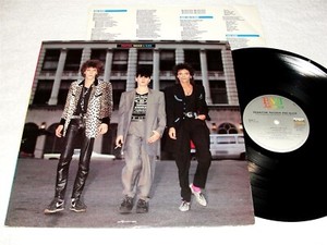 The Vinyl Store+More | eBay Stores