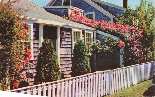 Nantucket Massachusetts Rose Covered Cottage Vintage Standard Postcard ...