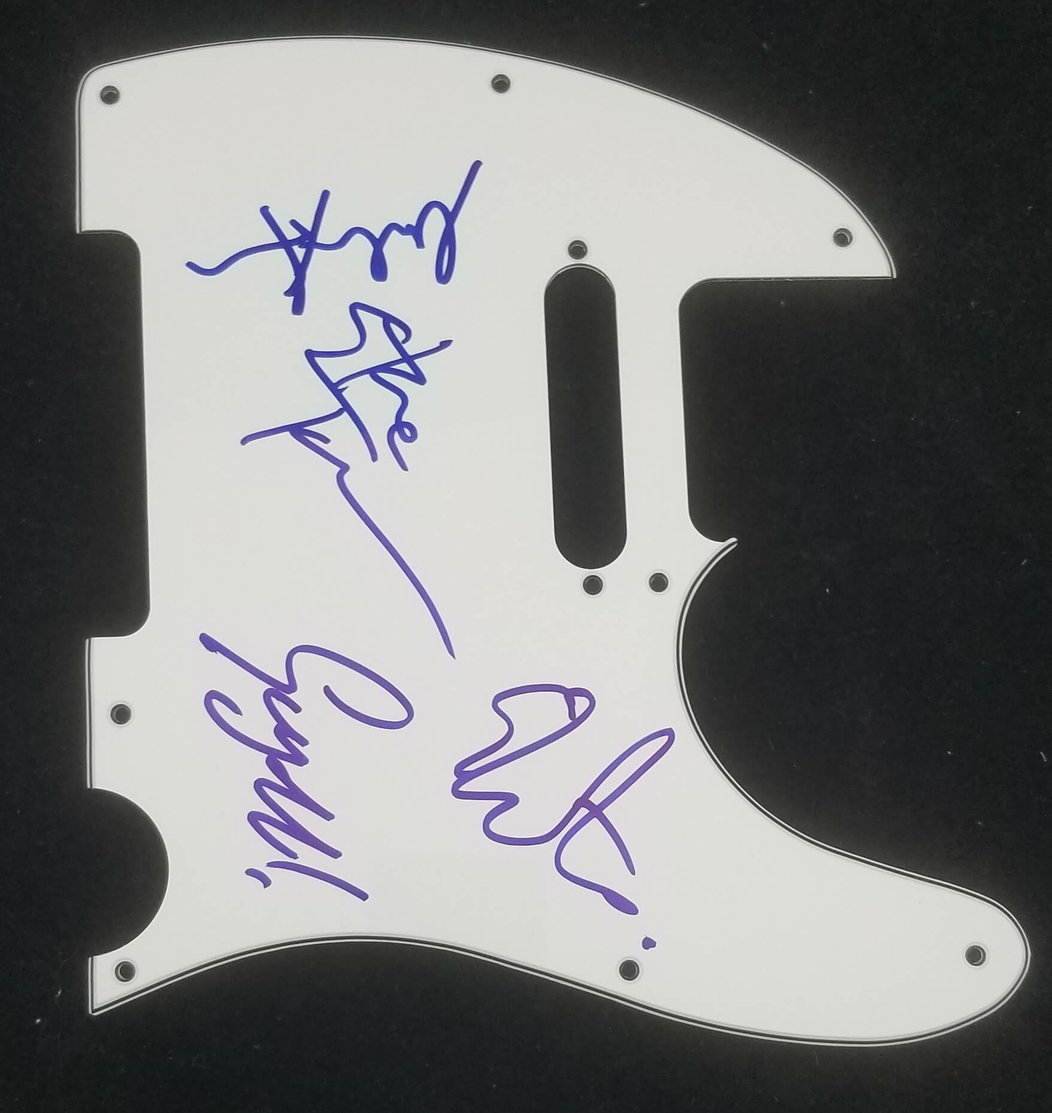 Mudhoney Signed Guitar Strat Pick Guard Mark Arm Steve Turner Peters ...