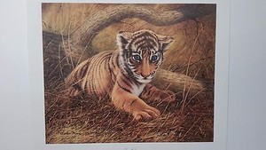 Charles Frace, TIGER CUB Signed Print | eBay