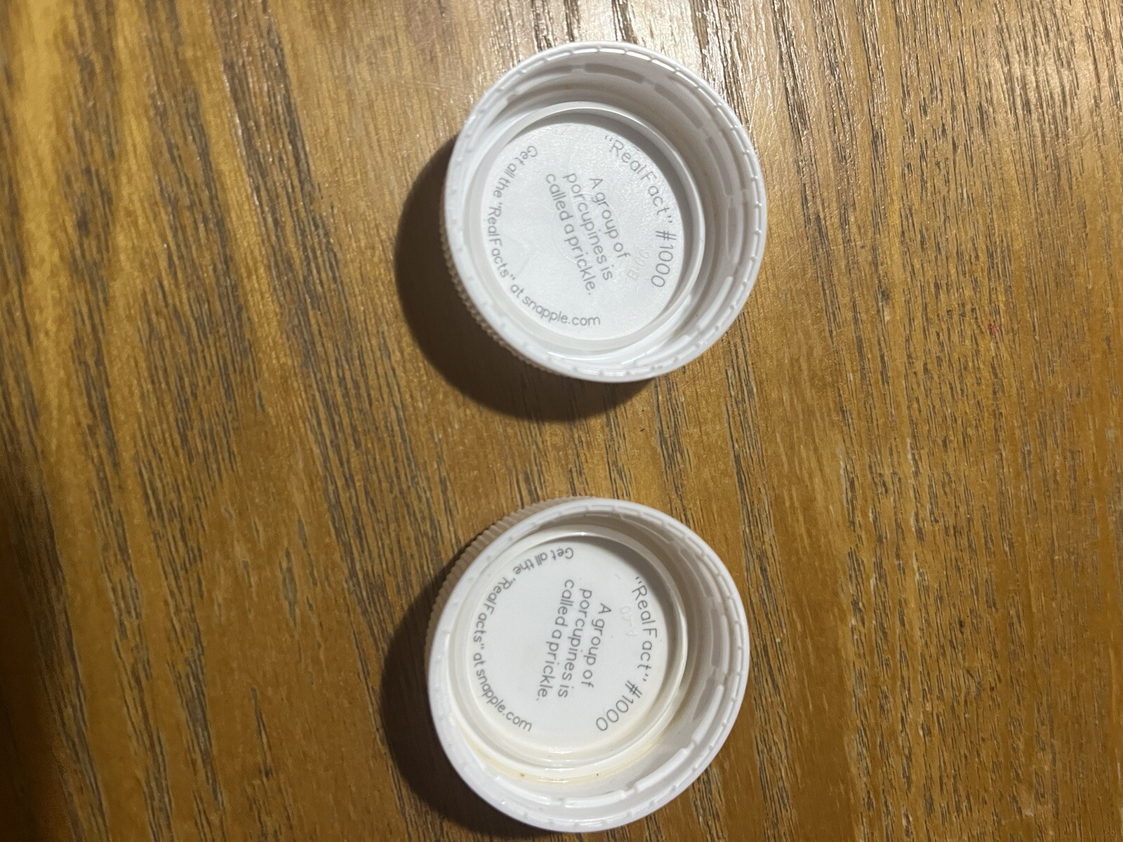 DUPLICATE SNAPPLE CAPS REAL FACT #1000 | eBay