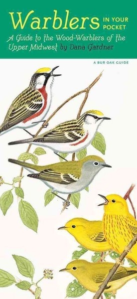 Warblers in Your Pocket: A Guide to the Wood-Warblers of the Upper ...
