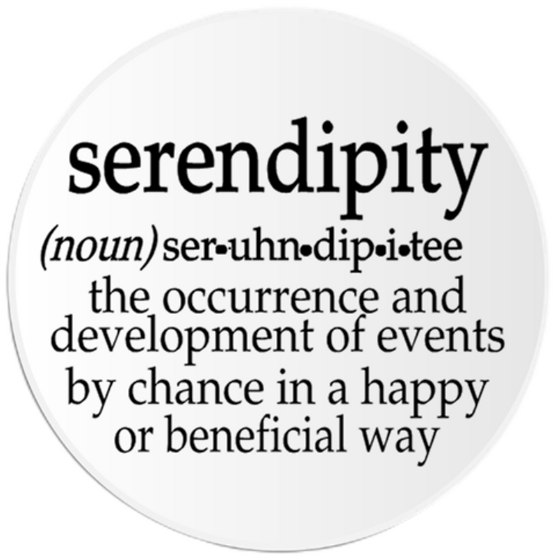 Serendipity Definition - Circle Sticker Decal 3 Inch | eBay