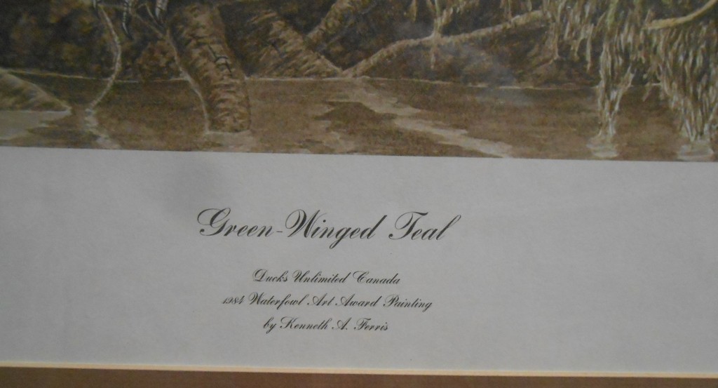 KENNETH FERRIS S/N WATERFOWL, GREEN WINGED TEAL Ducks Unlimited Canada ...