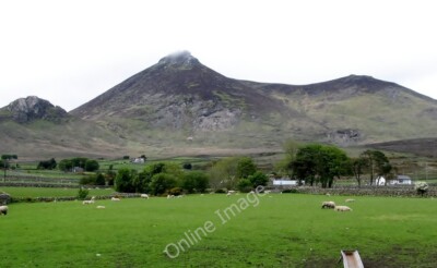 Photo 6x4 Sheep pastures on the south side of Cross Water River ...