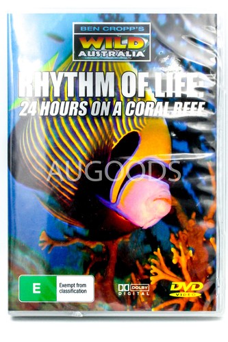 Ben Cropp's Rhythm of Life: 24 Hours on a Coral Reef DVD Documentary ...
