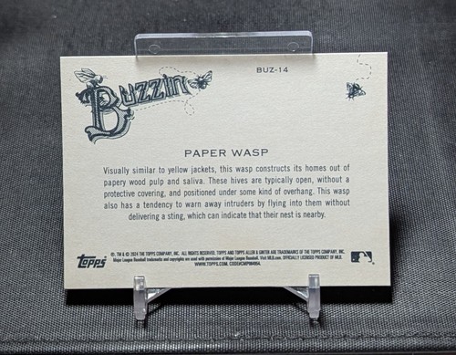 Paper Wasp - Buzzin 2024 Topps Allen & Ginter Baseball Card #BUZ-14 | eBay