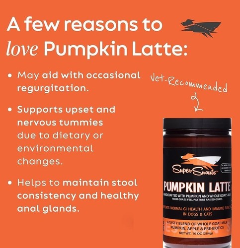 Super Snouts Pumpkin Latte GI Health Digestive Supplement Dogs & Cats ...