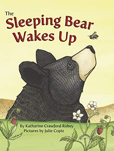 The Sleeping Bear Wakes Up - GOOD 9781950659067| eBay