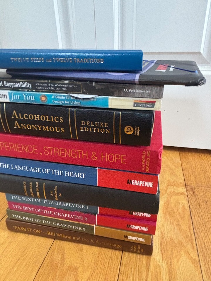 Alcoholics Anonymous AA Books Pamphlet Big Book 12 Steps Lot of Books ...